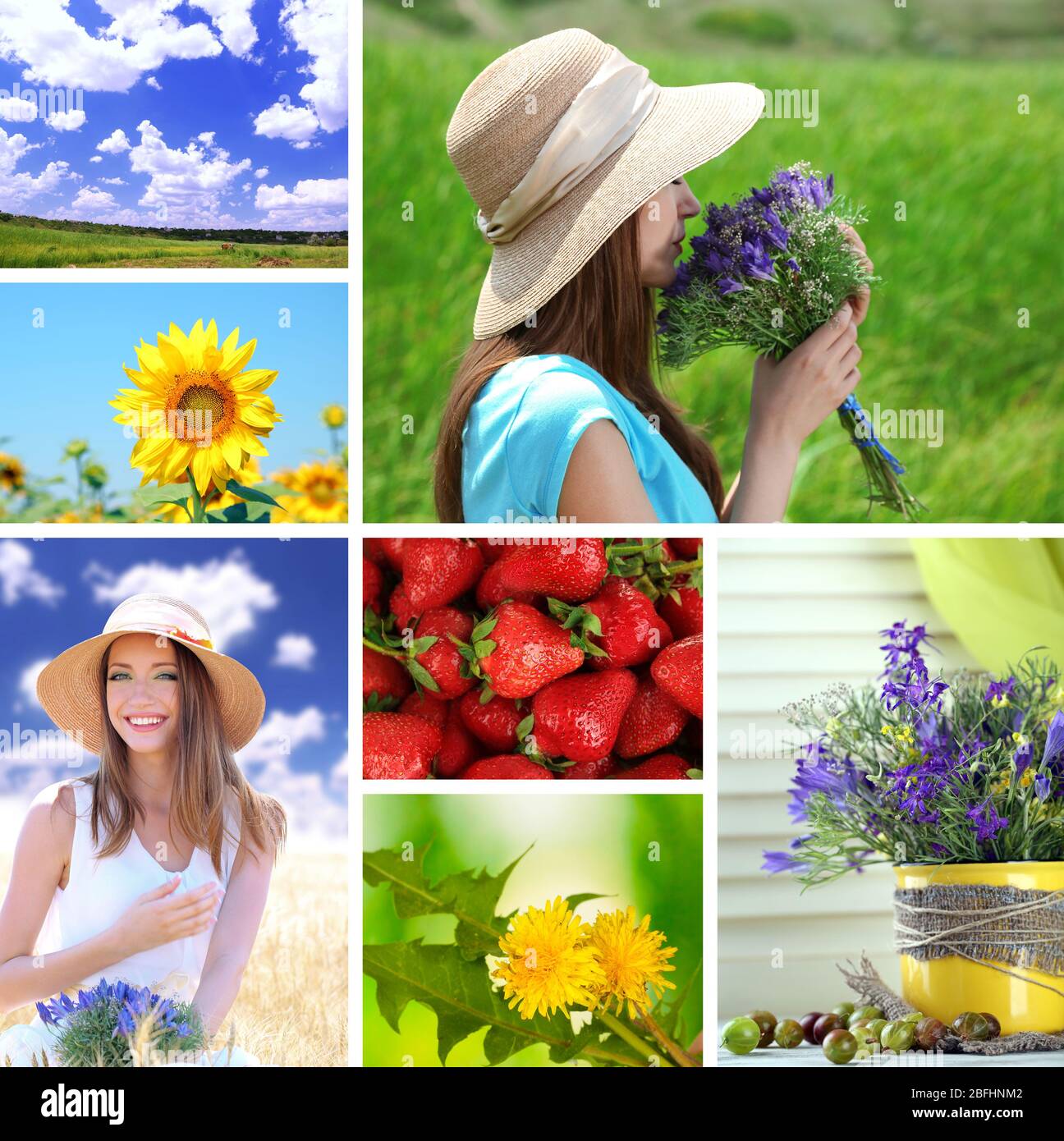 Collage of summer time Stock Photo - Alamy
