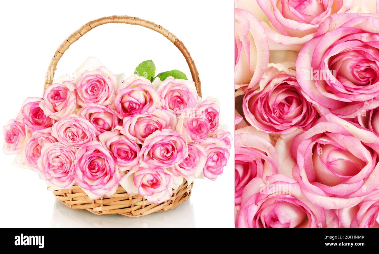 Collage roses closeup hi-res stock photography and images - Alamy