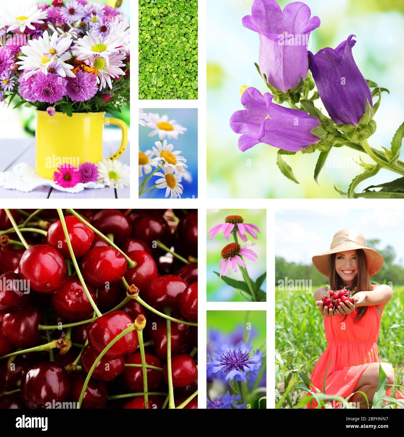 Collage of summer time Stock Photo - Alamy
