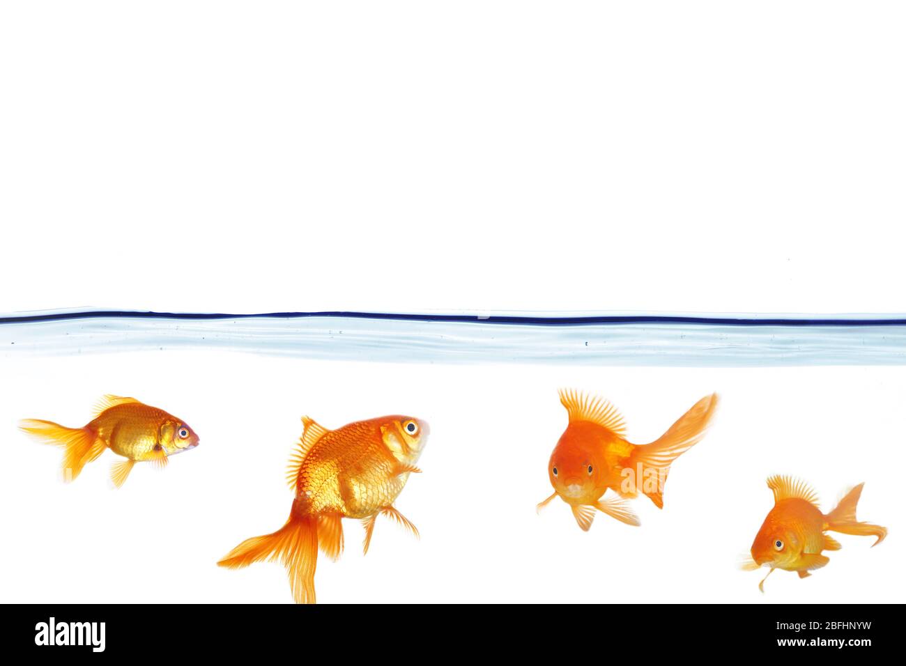 Clean water in little Cut Out Stock Images & Pictures - Alamy