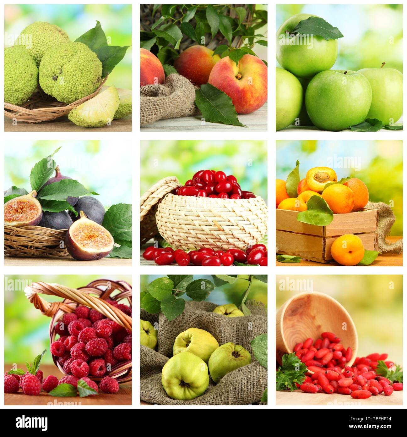 Collage of garden fruits and berries Stock Photo - Alamy