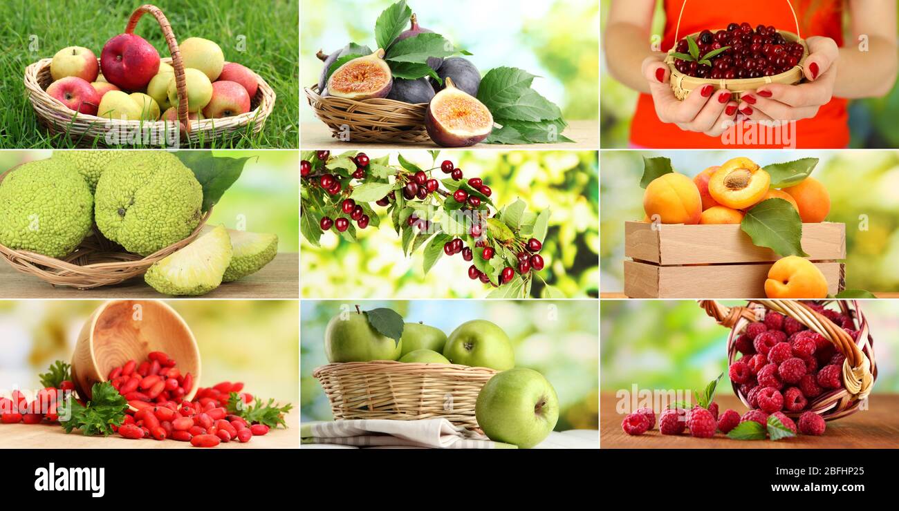 Collage of garden fruits and berries Stock Photo - Alamy