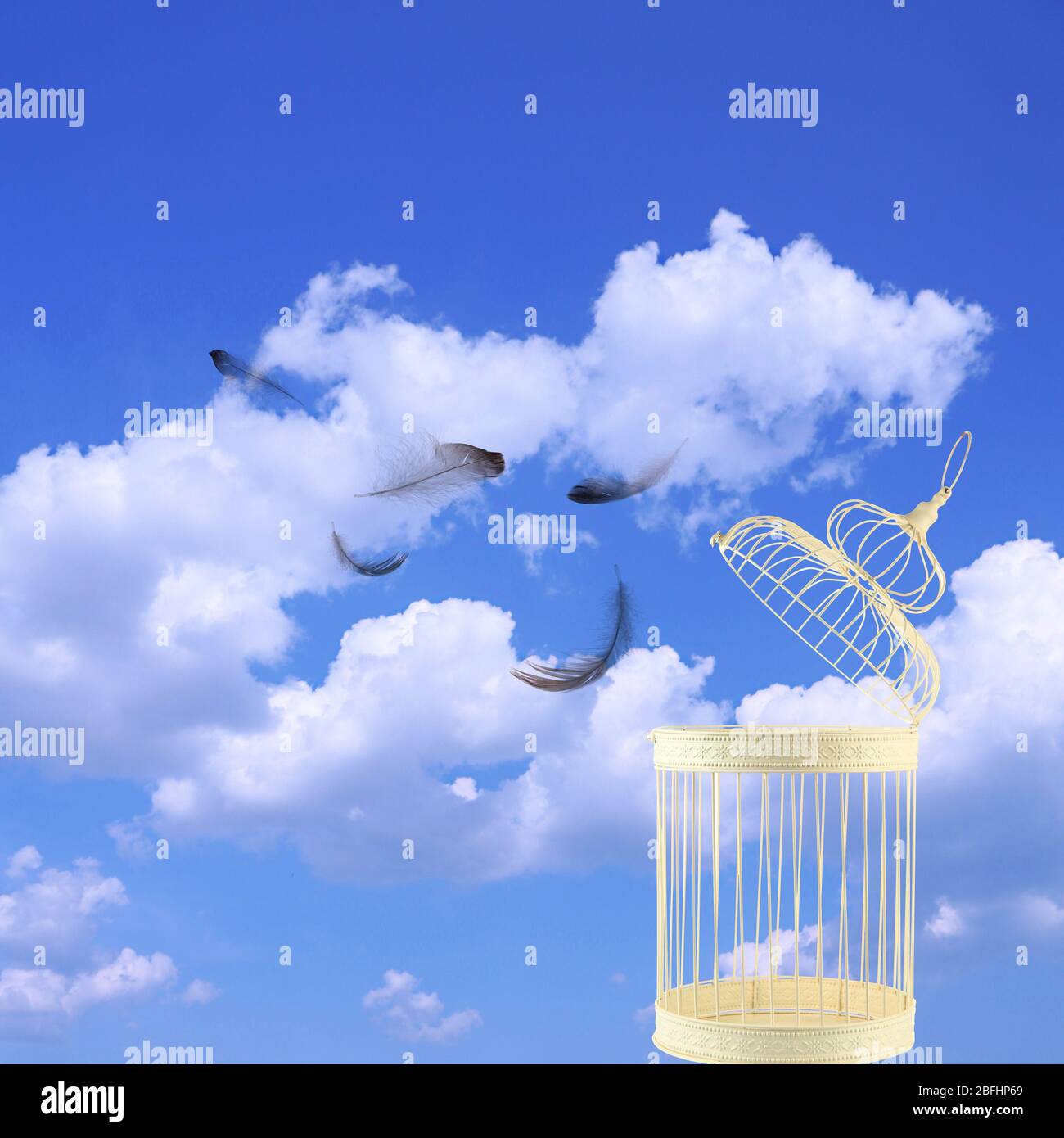 Freedom concept. Escaping from the cage Stock Photo - Alamy