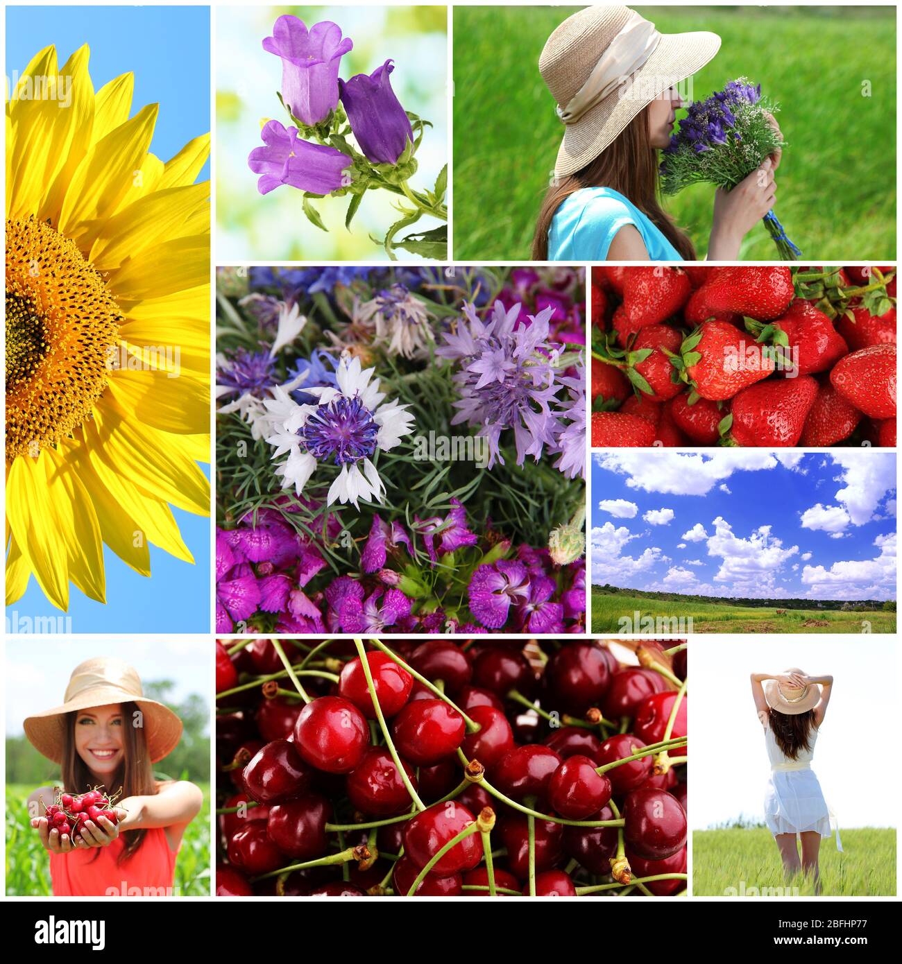 Collage of summer time Stock Photo - Alamy