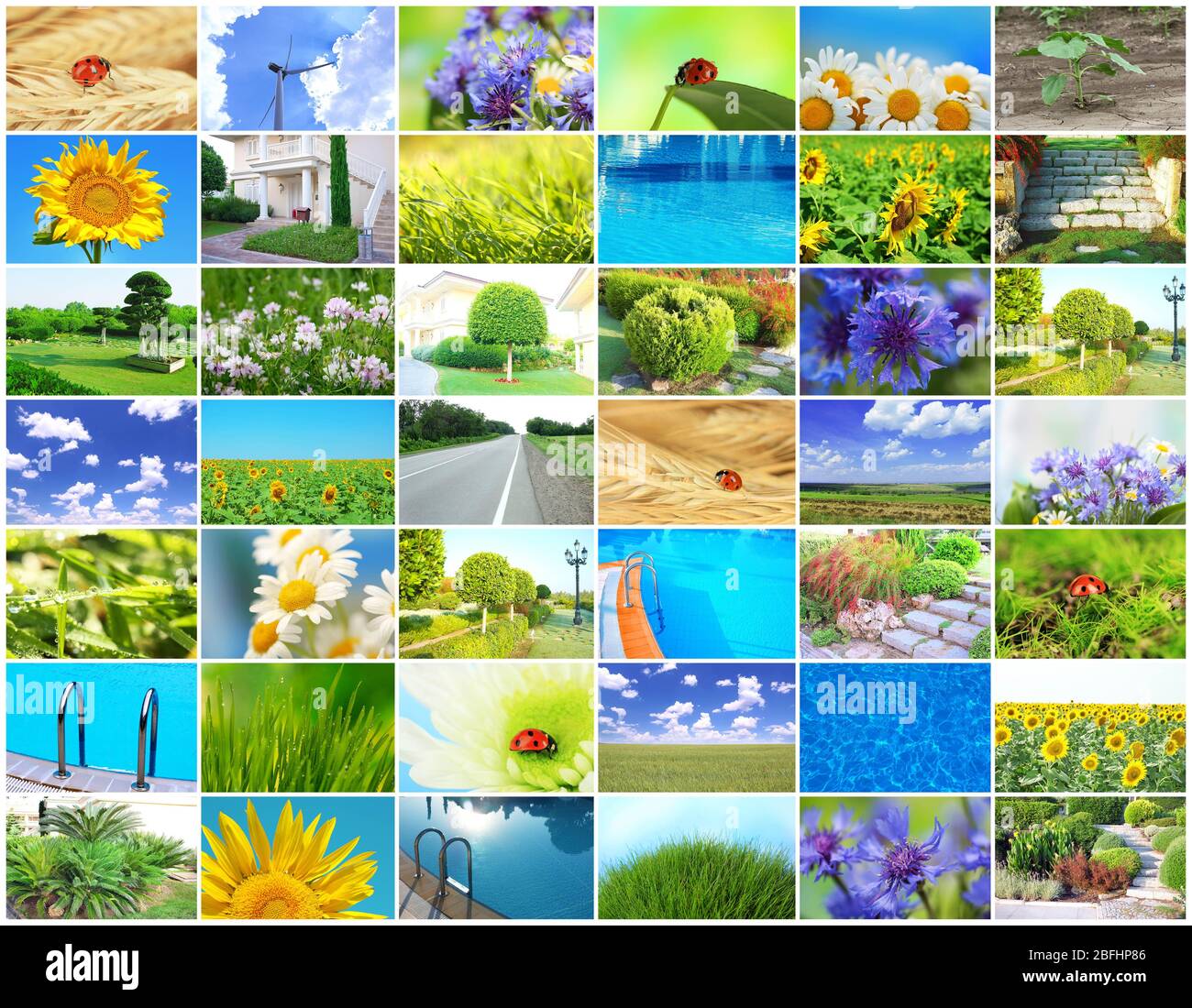 Collage young people bright Cut Out Stock Images & Pictures - Alamy