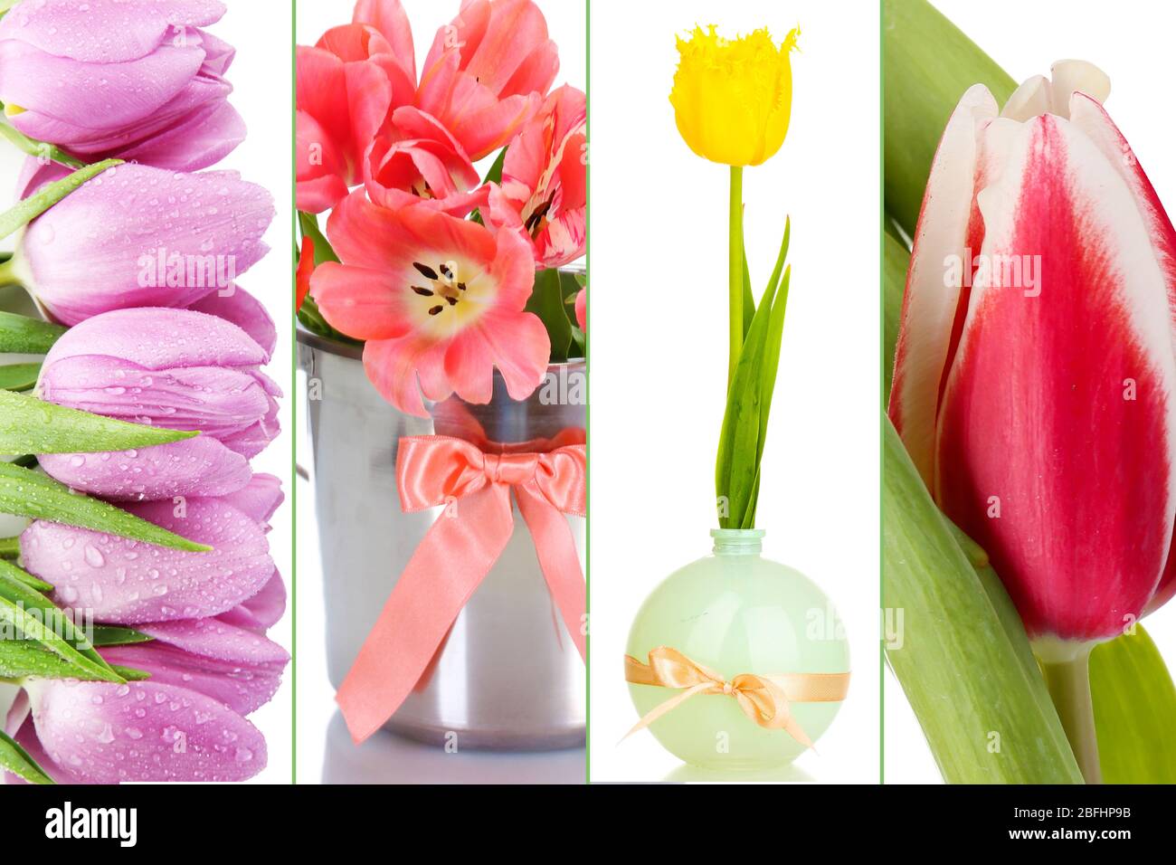 Collage of beautiful tulips Stock Photo - Alamy