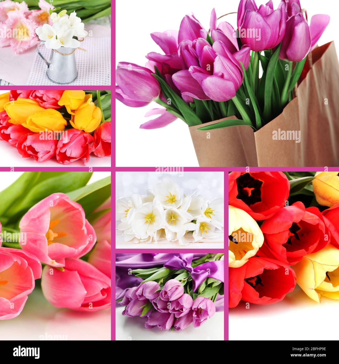 Collage of beautiful tulips Stock Photo - Alamy