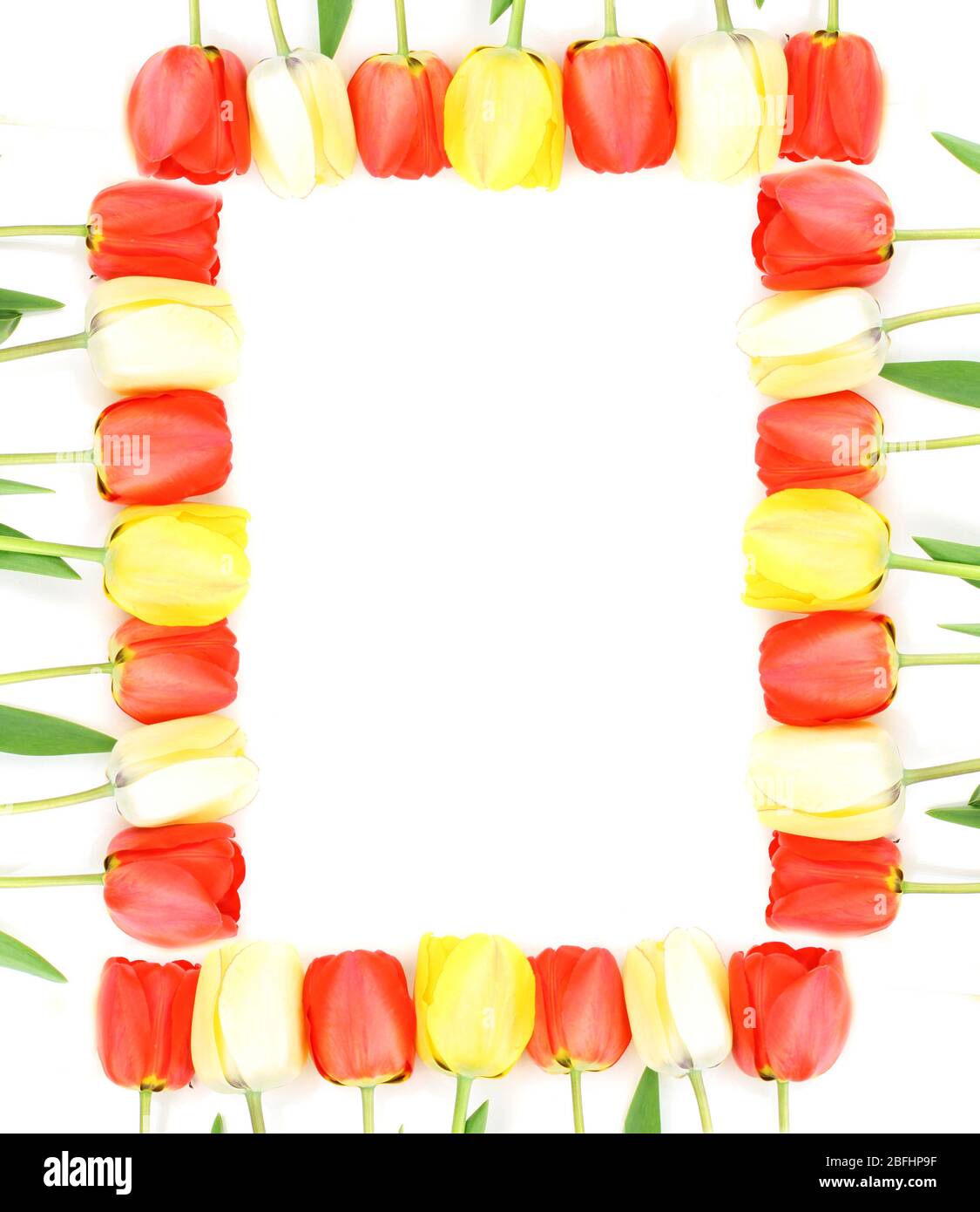 Beautiful tulips frame isolated on white Stock Photo - Alamy