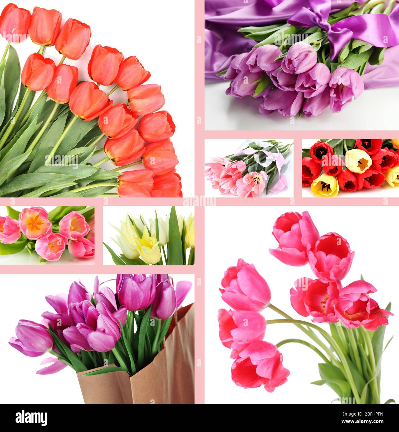 Collage of beautiful tulips Stock Photo - Alamy