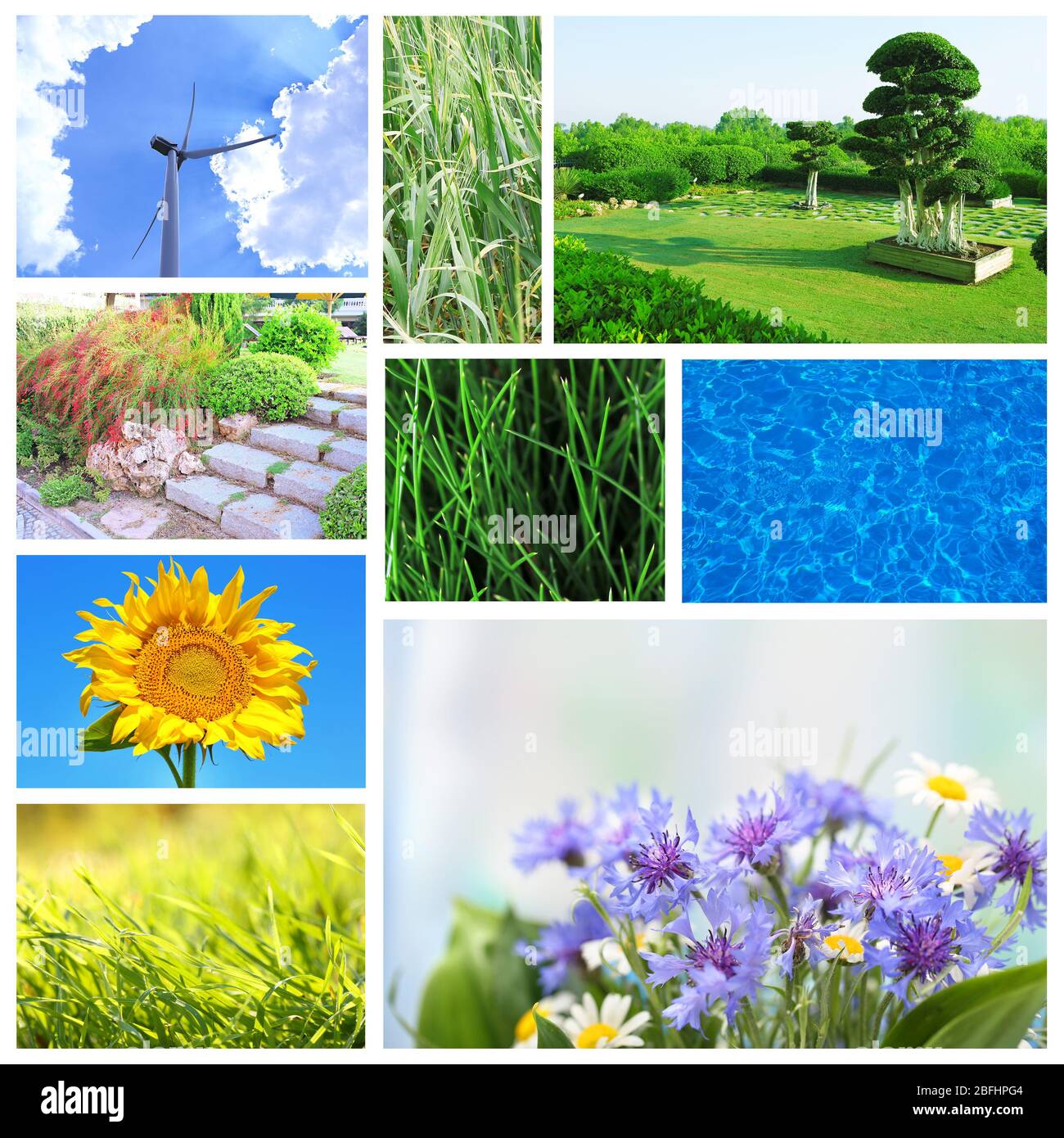 Collage of beautiful nature Stock Photo - Alamy