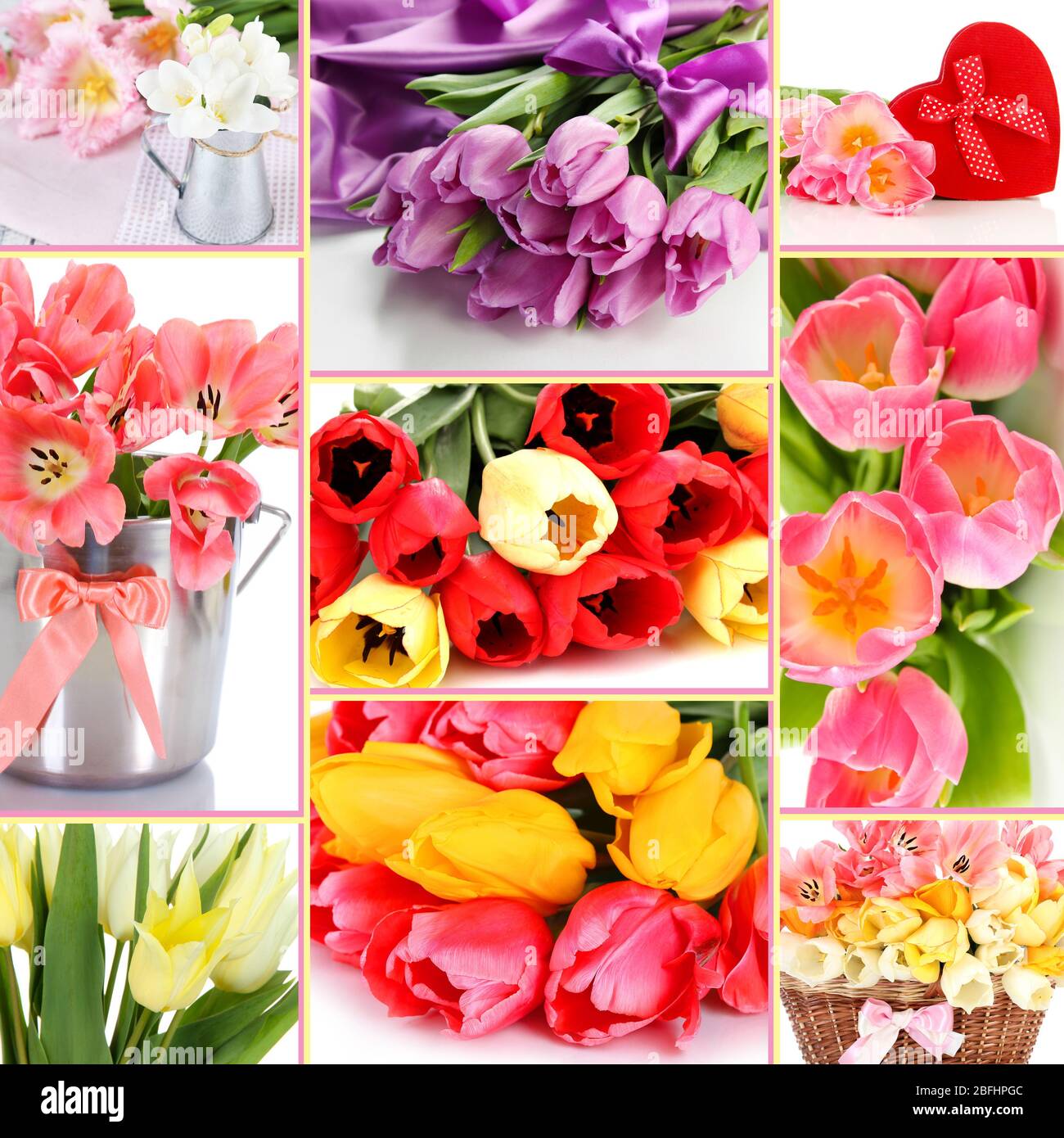 Collage of beautiful tulips close up Stock Photo - Alamy