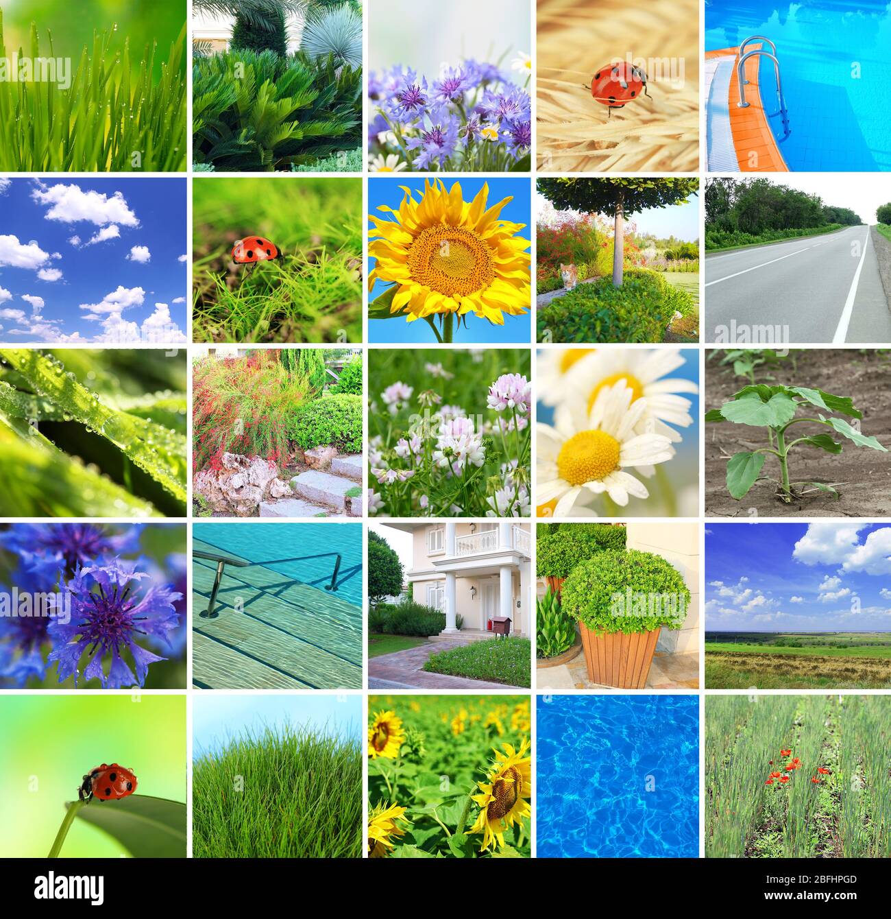 Ladybird swimming pool hi-res stock photography and images - Alamy