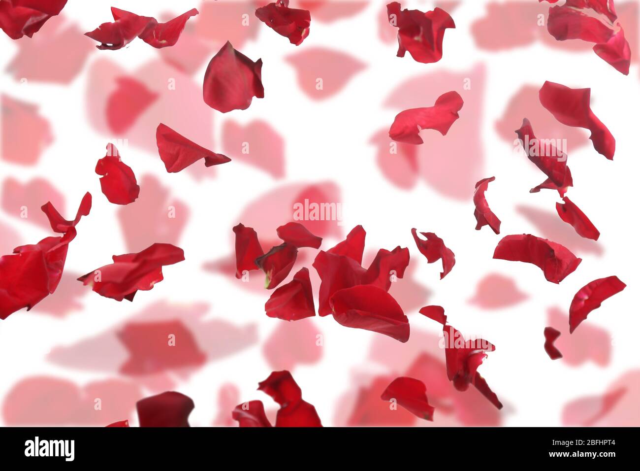 Beautiful red rose petals background Stock Photo - Alamy