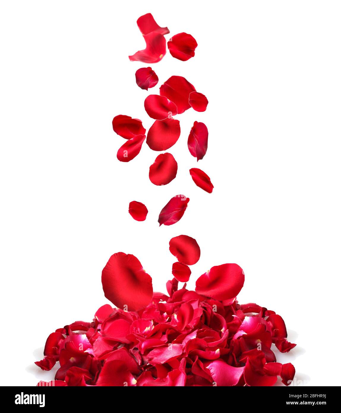 Beautiful petals of red roses isolated on white Stock Photo - Alamy
