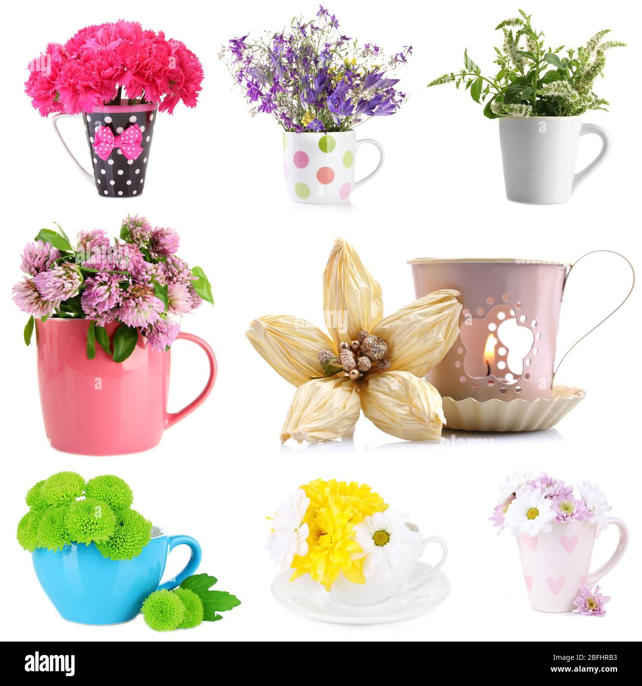 Collage of cups with flowers Stock Photo - Alamy