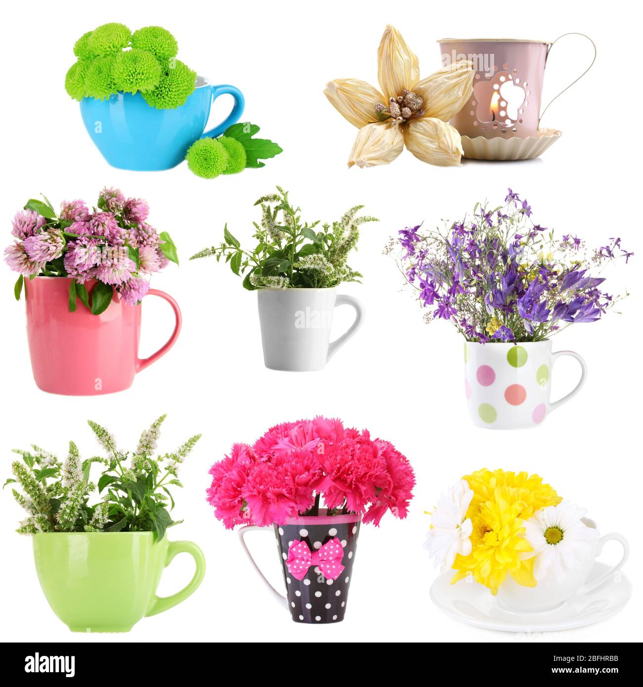 Collage of cups with flowers Stock Photo - Alamy