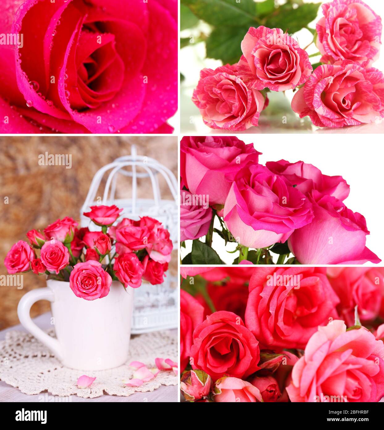 Beautiful roses collage Stock Photo - Alamy