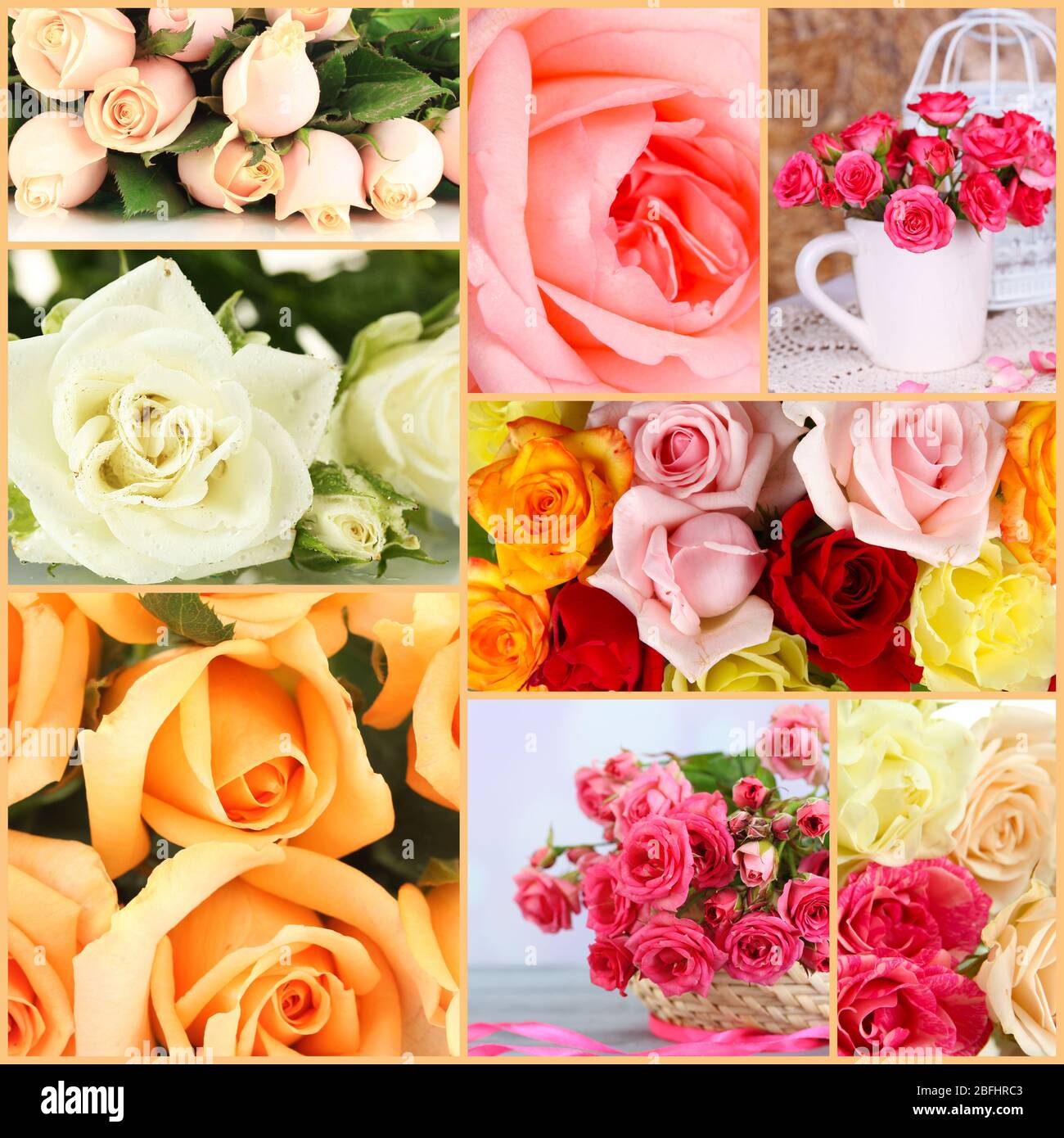 Beautiful roses collage Stock Photo - Alamy