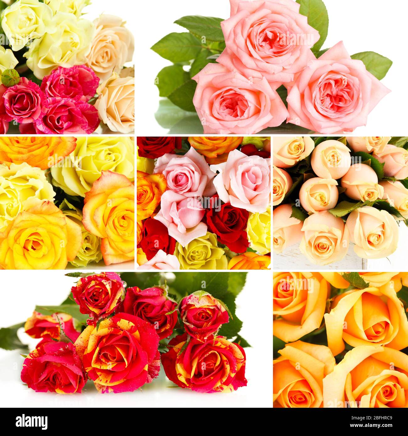 Beautiful roses collage hi-res stock photography and images - Alamy