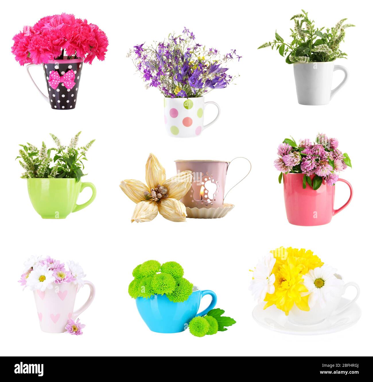 Collage of cups with flowers Stock Photo - Alamy