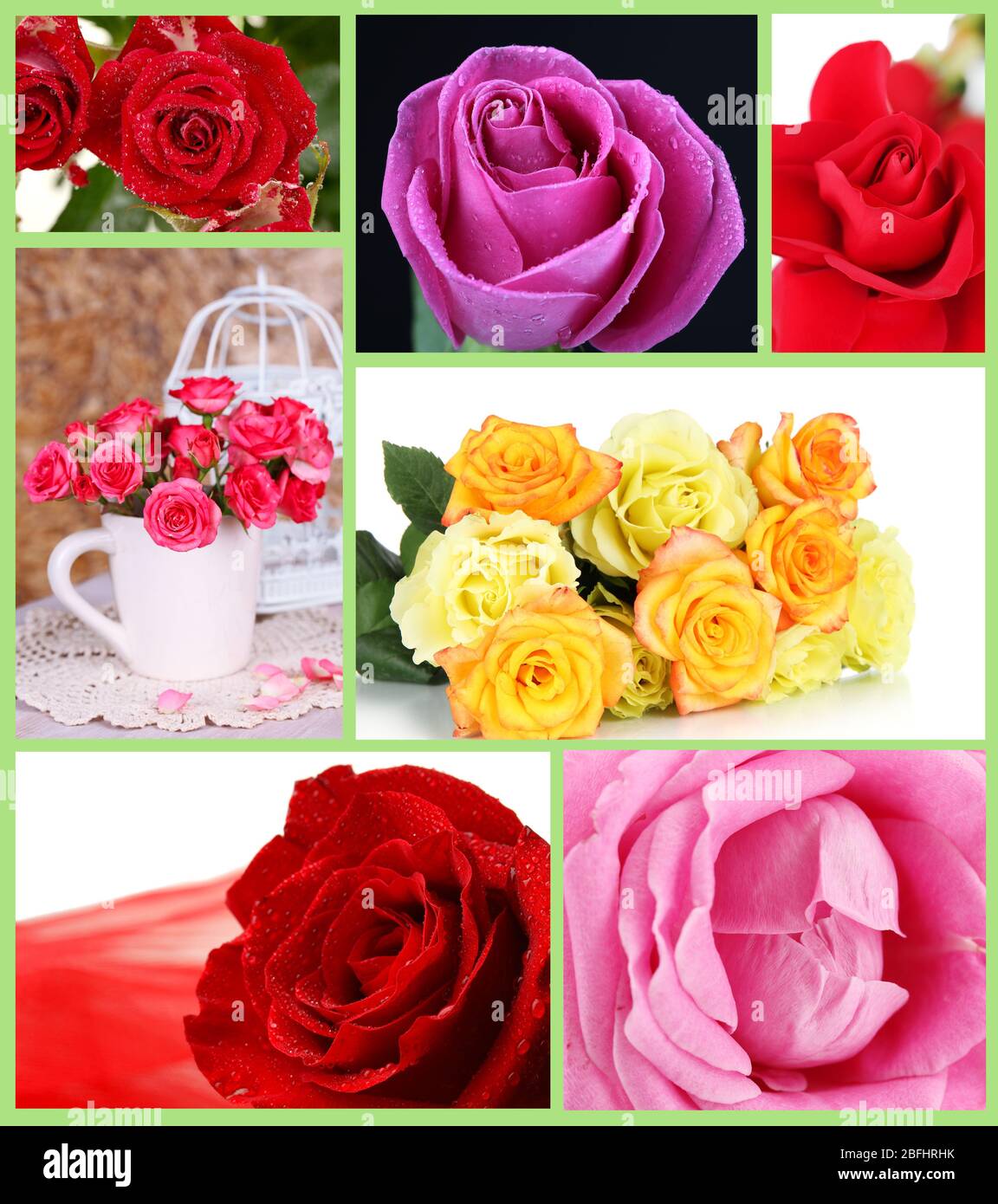 Beautiful roses collage Stock Photo - Alamy
