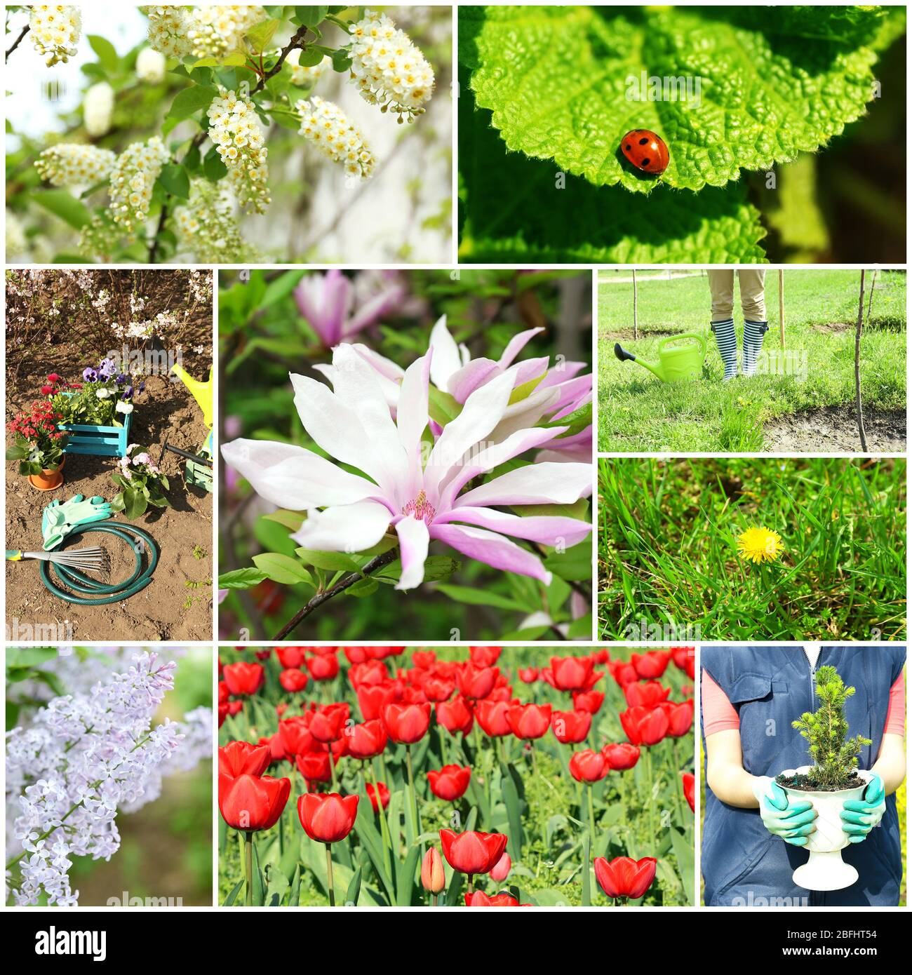 Spring season collage Stock Photo - Alamy
