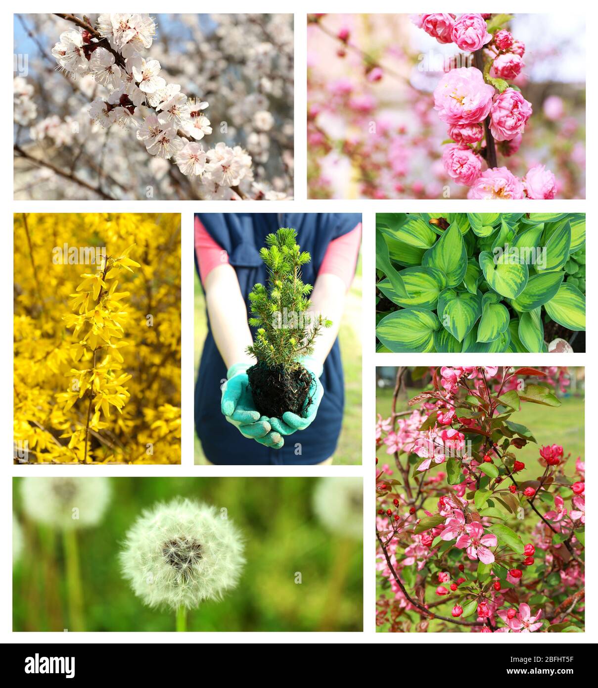 Spring season collage Stock Photo - Alamy