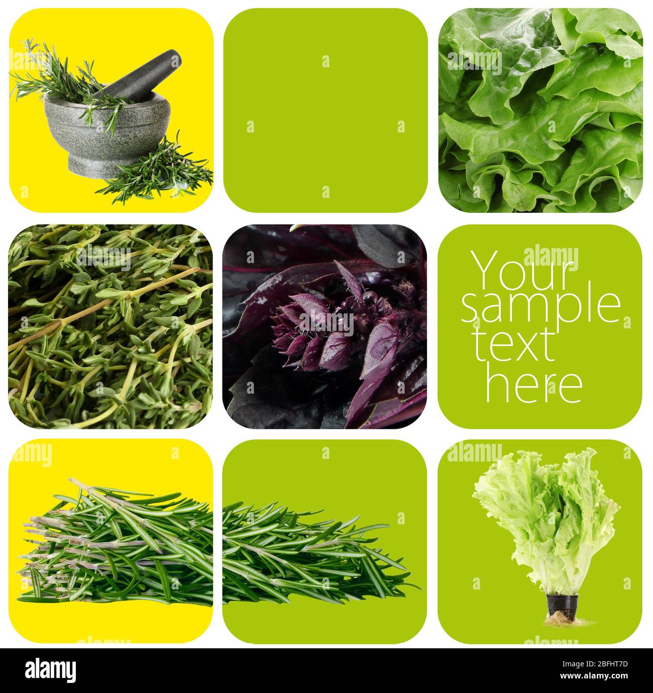 Collage of healthy herbs Stock Photo - Alamy