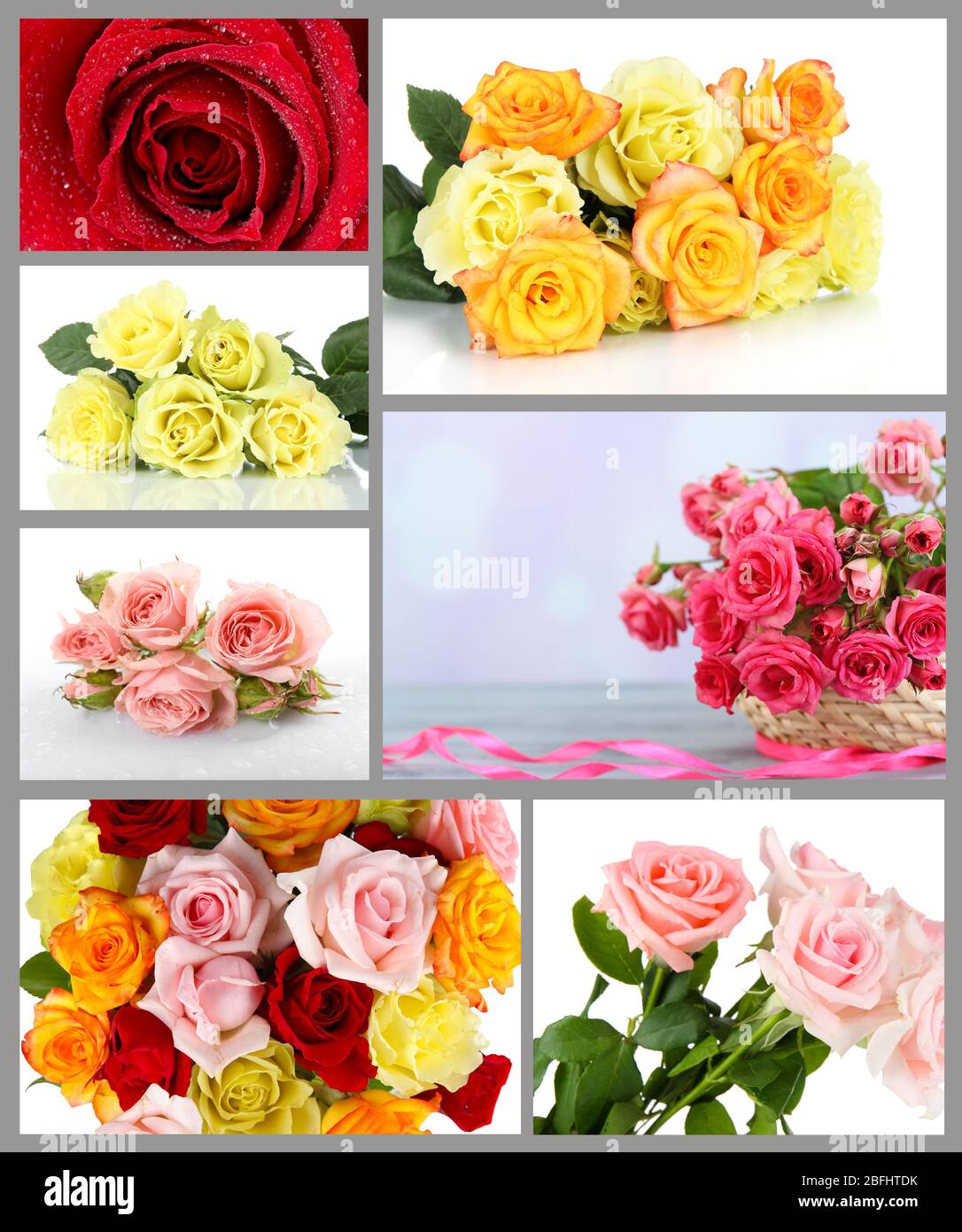 Beautiful roses collage Stock Photo - Alamy