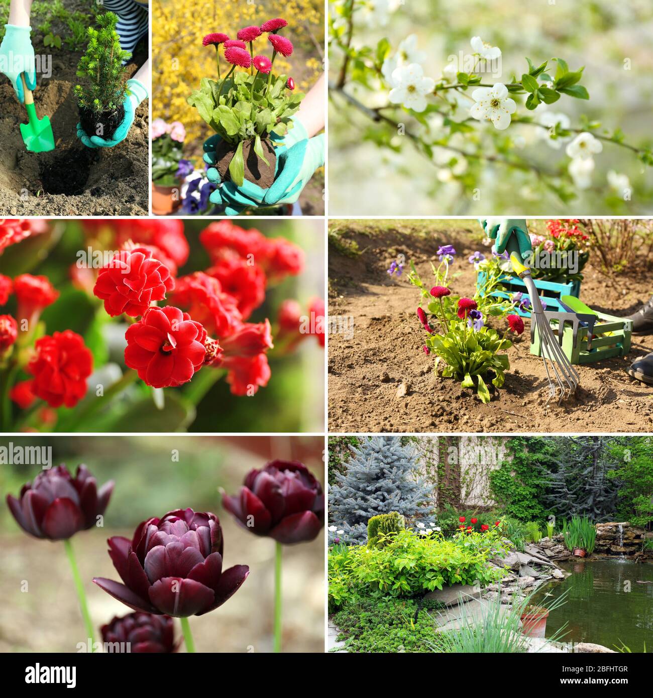 Spring season collage Stock Photo - Alamy