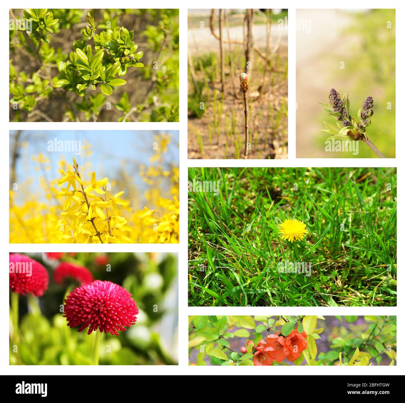 Spring Season Collage Stock Photo Alamy spring-season-collage-stock-photo-alamy