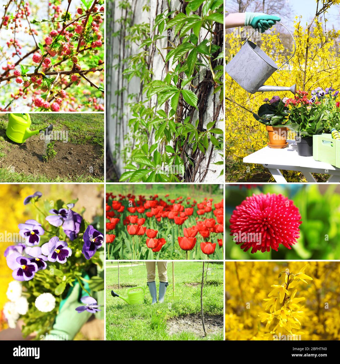 Spring season collage Stock Photo - Alamy