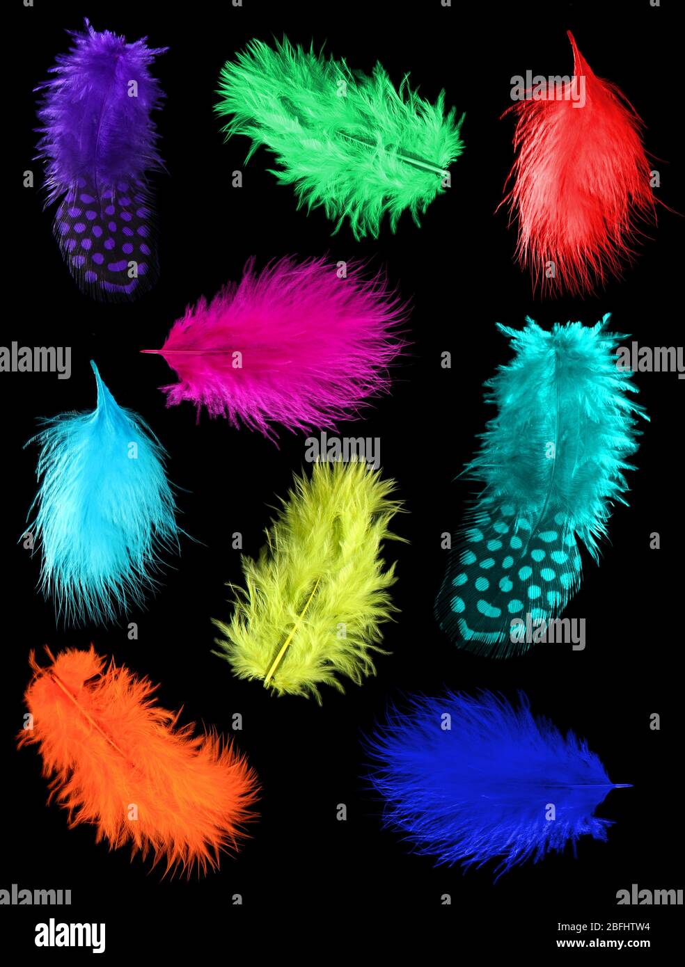 Collage of colorful feathers on black background Stock Photo - Alamy