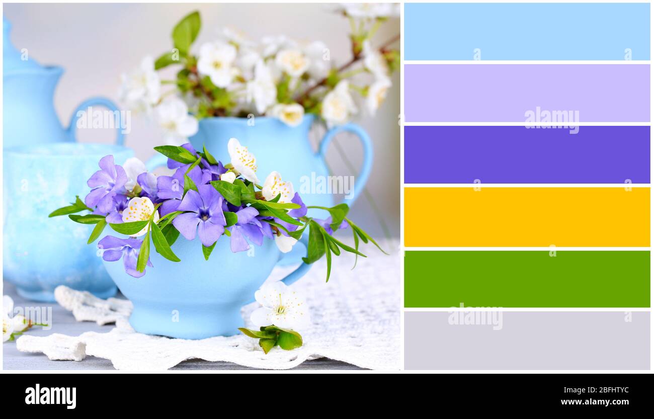 Spring flowers in cups on table. Color palette with complimentary ...