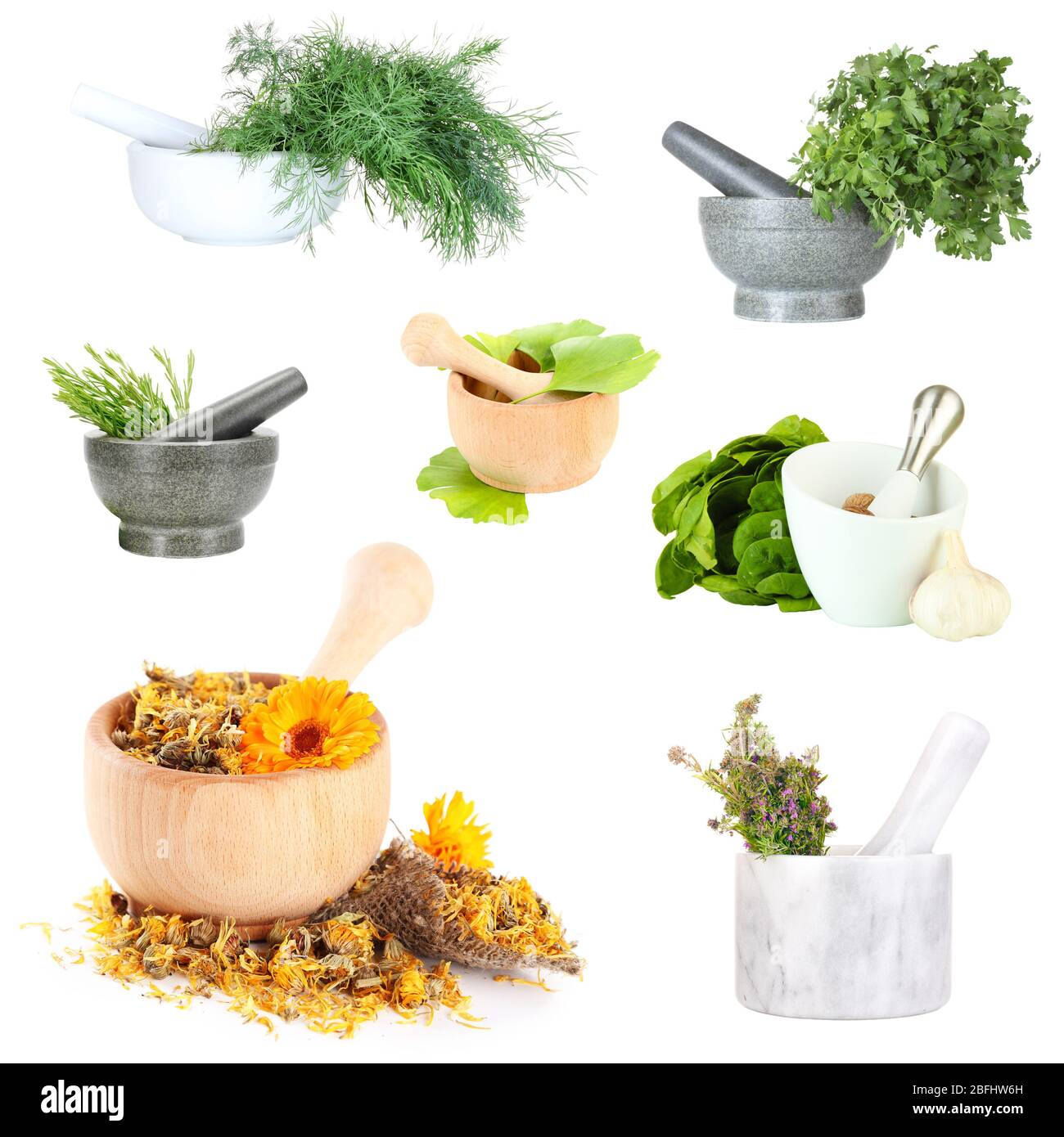 Collage of different herbs isolated on white Stock Photo - Alamy