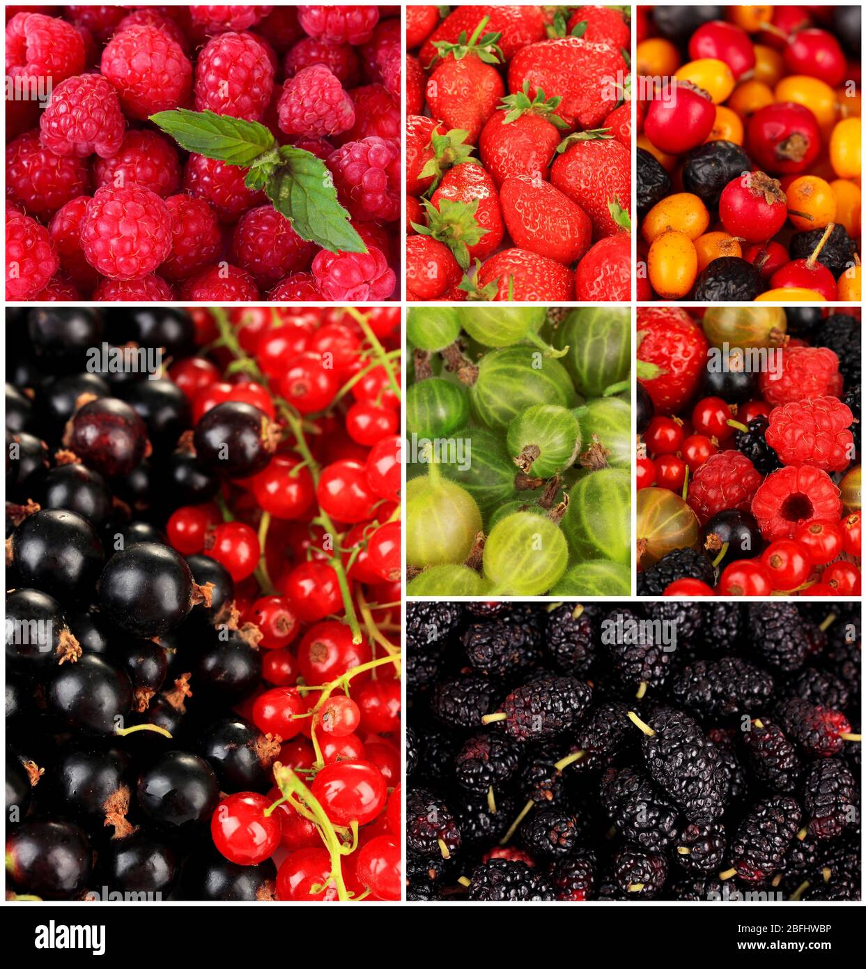Berries close up Cut Out Stock Images & Pictures - Alamy