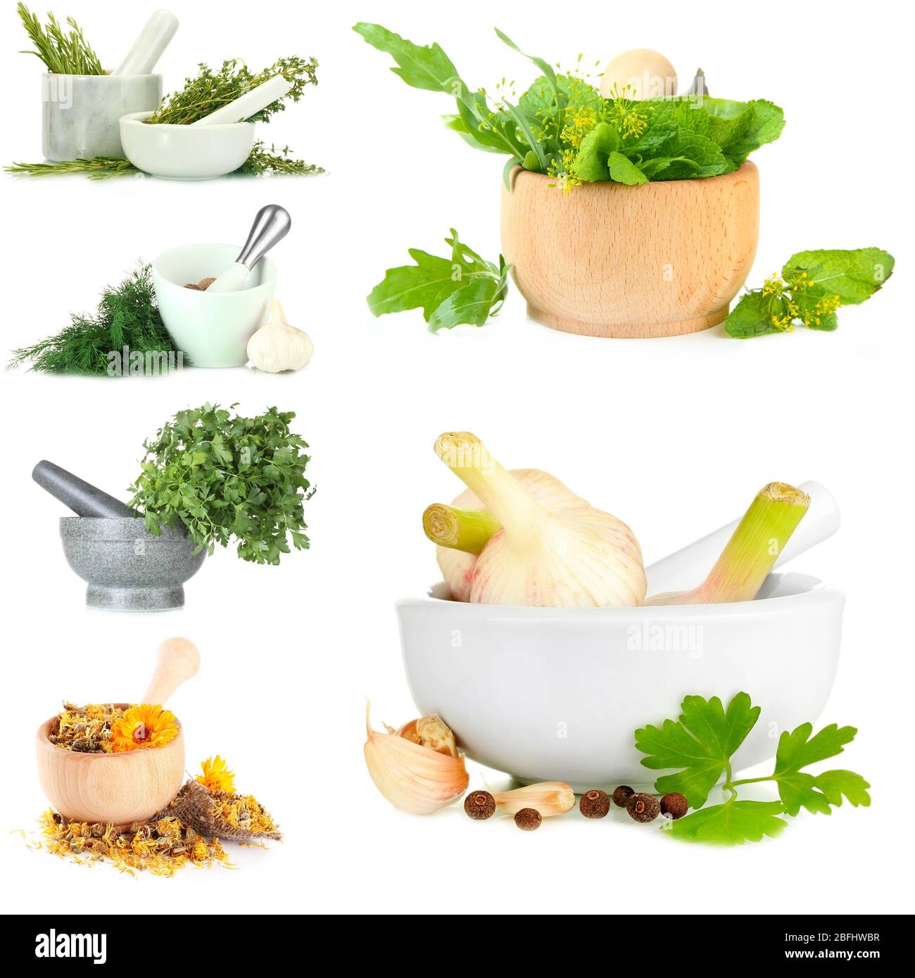 Collage of different herbs isolated on white Stock Photo - Alamy