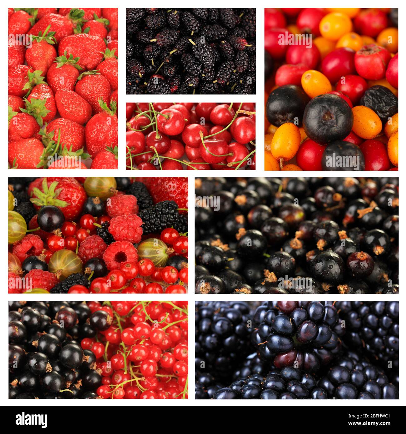 Berries close up Cut Out Stock Images & Pictures - Alamy