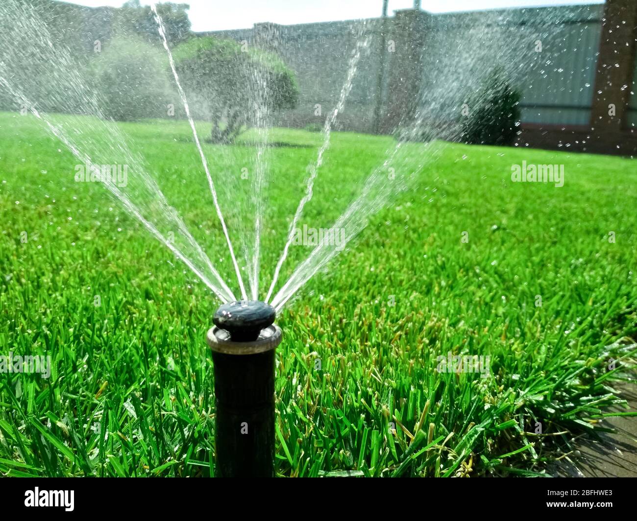Garden irrigation system watering lawn. Automatic lawn sprinkler ...