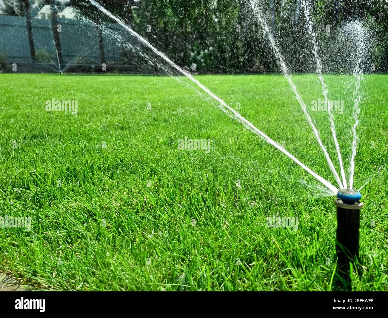 Garden irrigation system watering lawn. Automatic lawn sprinkler ...