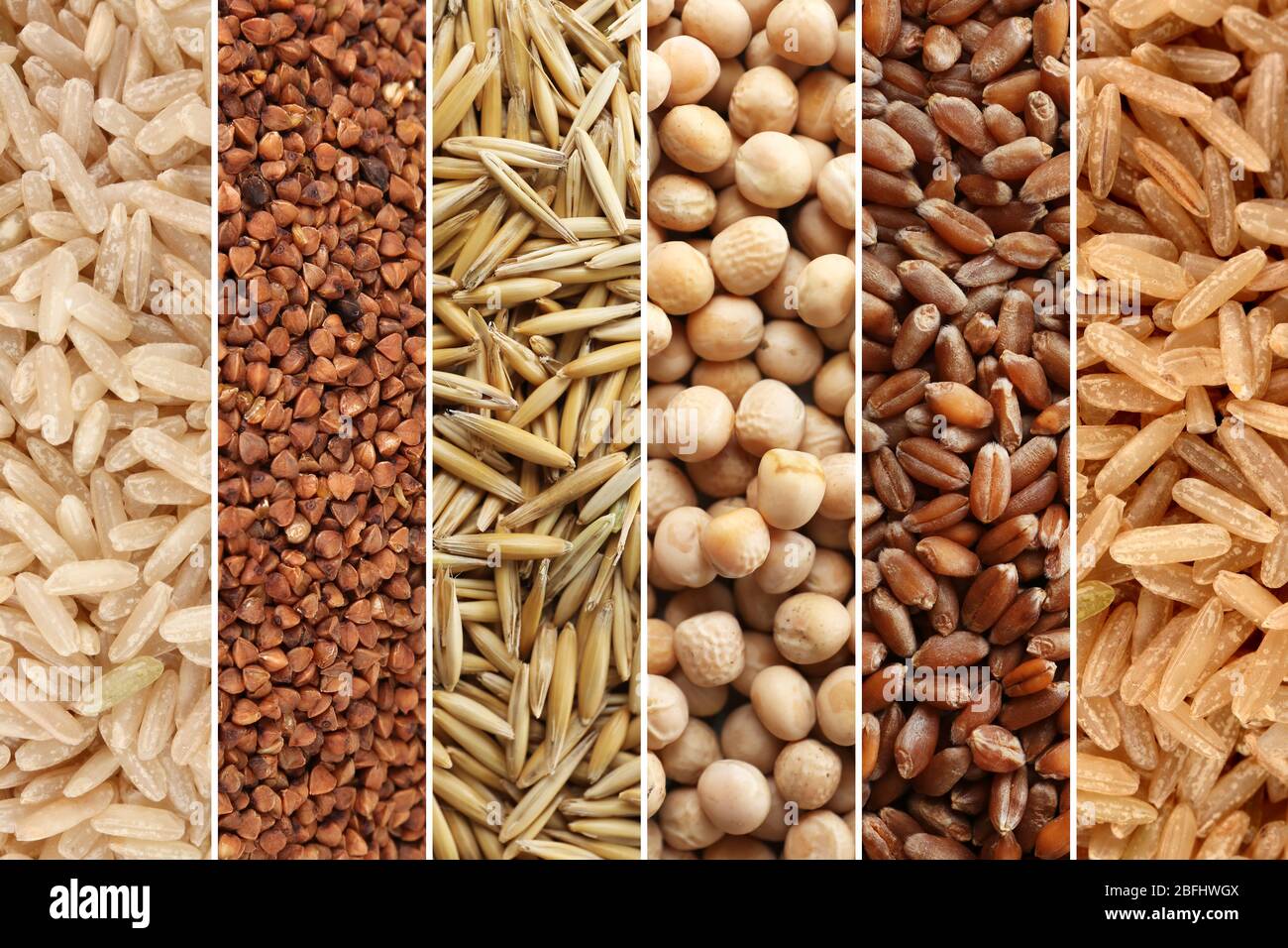 Classification of oats hi-res stock photography and images - Alamy