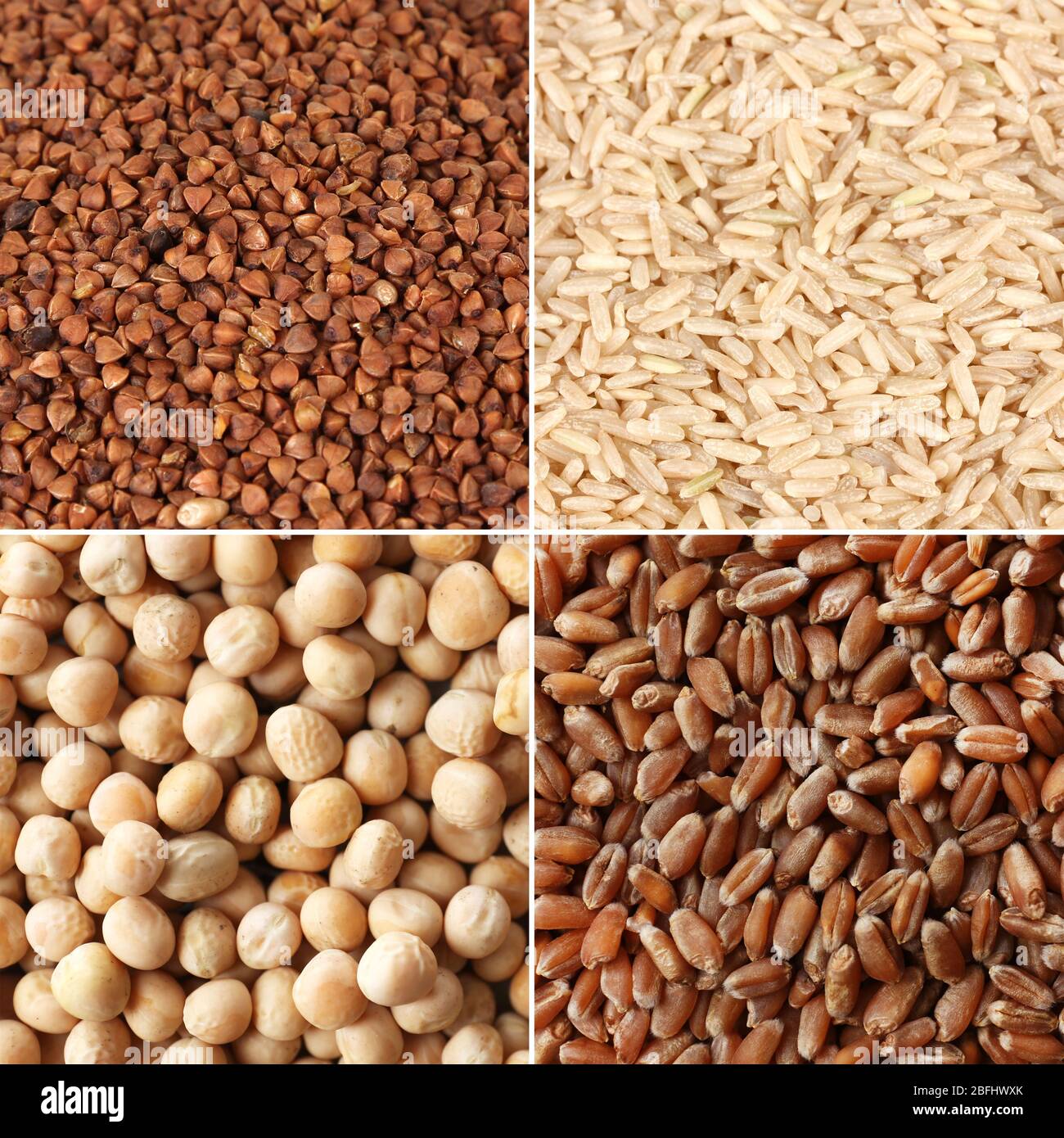 Classification of oats hi-res stock photography and images - Alamy