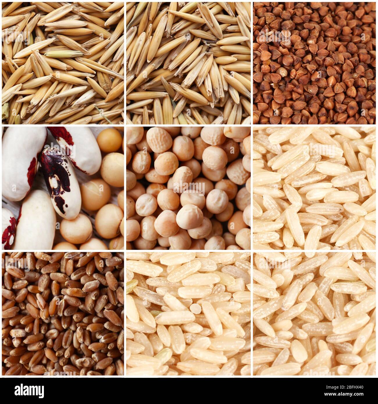 Classification of oats hi-res stock photography and images - Alamy