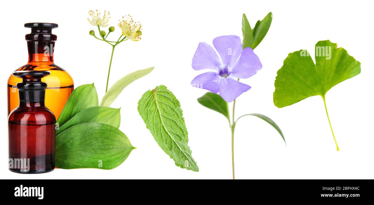 Collage of medicine bottles and herbs, isolated on white Stock Photo ...