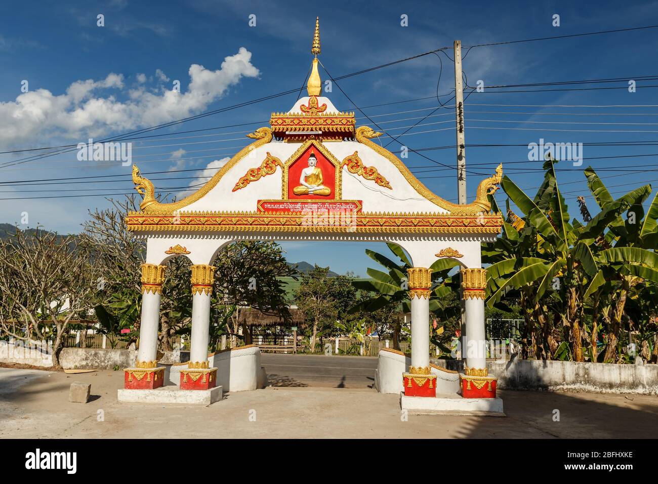 Nala hi-res stock photography and images - Alamy