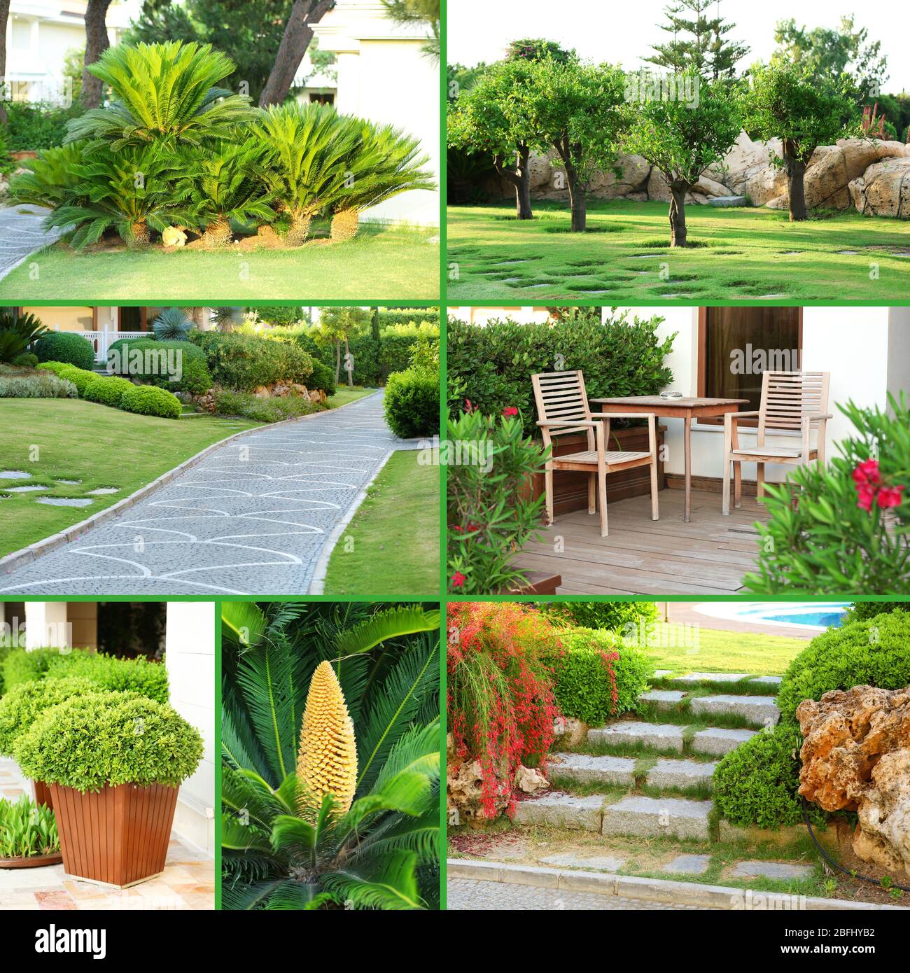 Collage of beautiful nature landscaping Stock Photo - Alamy