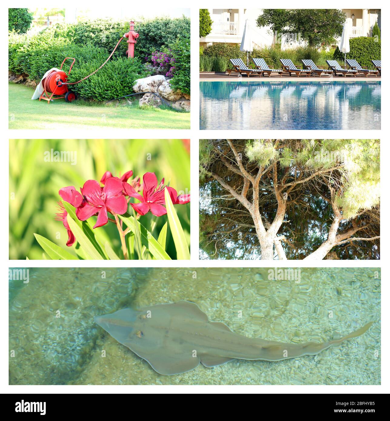 Collage of beautiful nature landscaping Stock Photo - Alamy