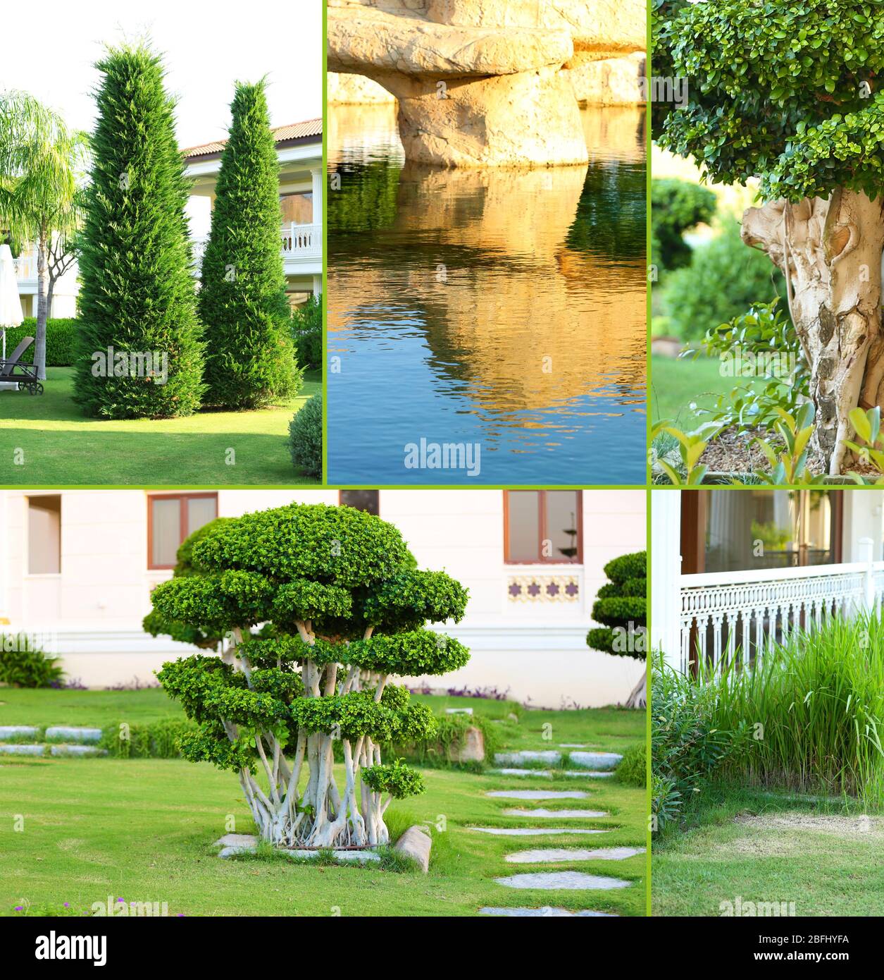 Collage of beautiful nature landscaping Stock Photo - Alamy