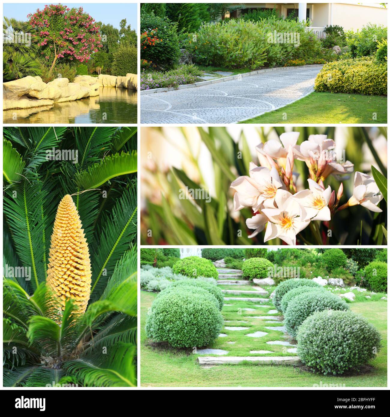 Collage of beautiful nature landscaping Stock Photo - Alamy