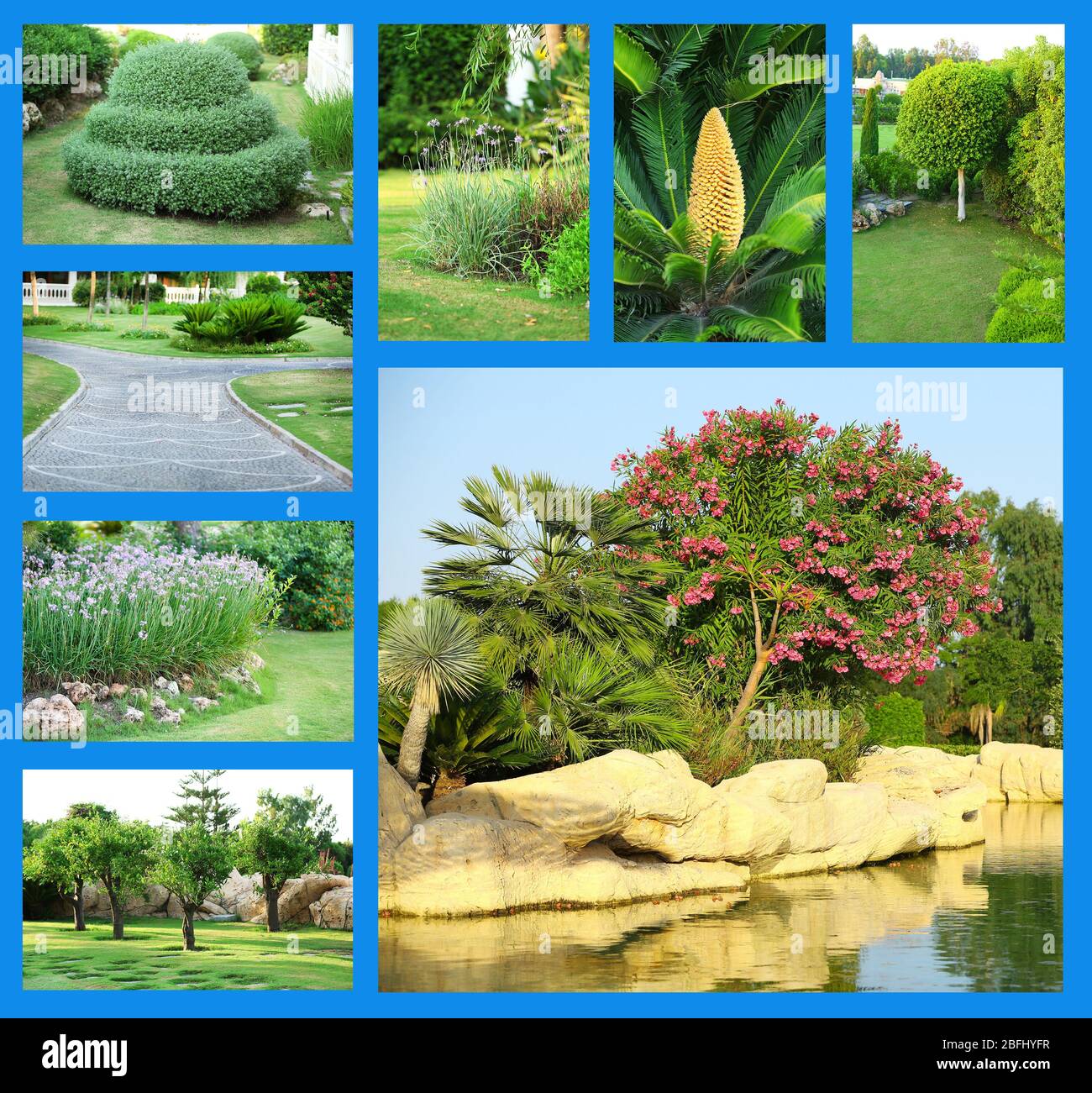 Collage of beautiful nature landscaping Stock Photo - Alamy